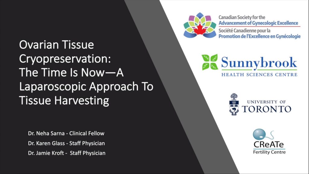 Ovarian Cryopreservation: Laparoscopic Approach to Tissue Harvesting